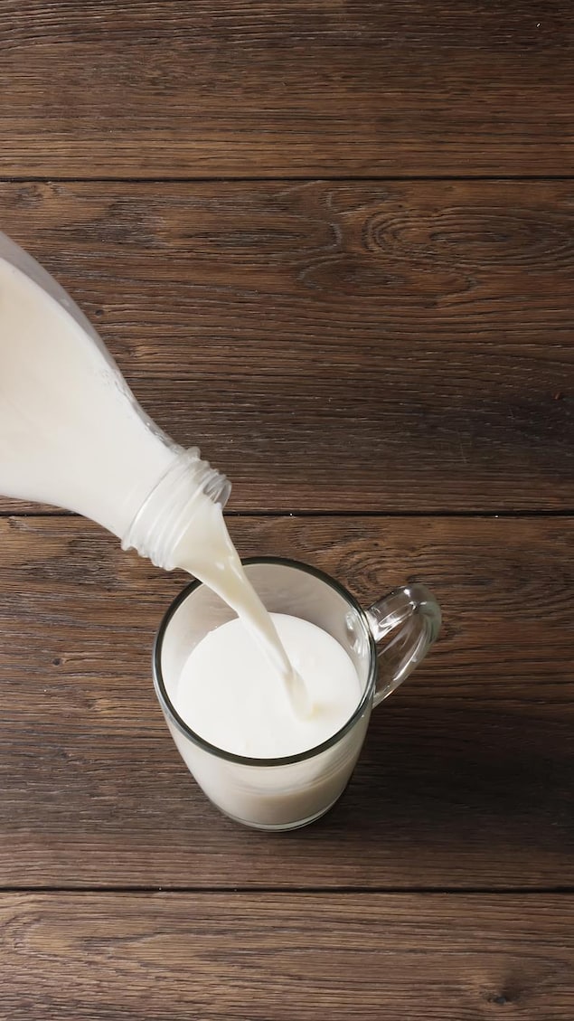 Du lait cultivé en laboratoire, bientôt dans votre épicerie? | Brève ...