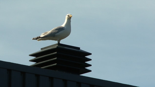 Lacey thomas topless i noticed that Maci was stopping by