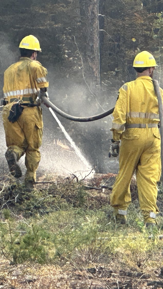 Les utilisateurs de la forêt sont invités à la prudence | Brève | Radio ...