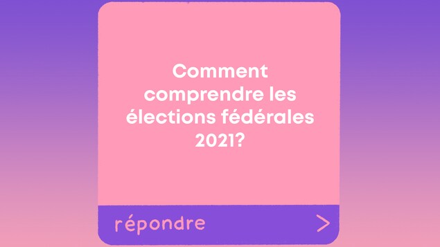 On répond à tes questions sur les élections | MAJ