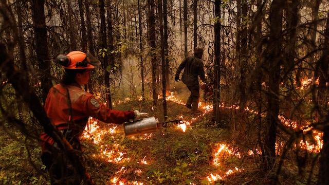 7 questions pour mieux comprendre les feux de forêt au Canada | MAJ ...