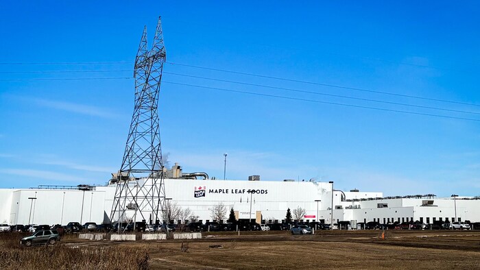 [Reportaje] La transición de la comunidad latina de Brandon, la ciudad ...