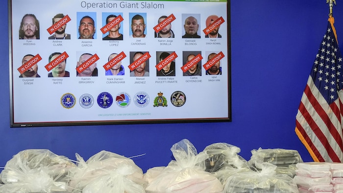 Affaire Wedding : un Canadien accusé de trafic de cocaïne veut être ...