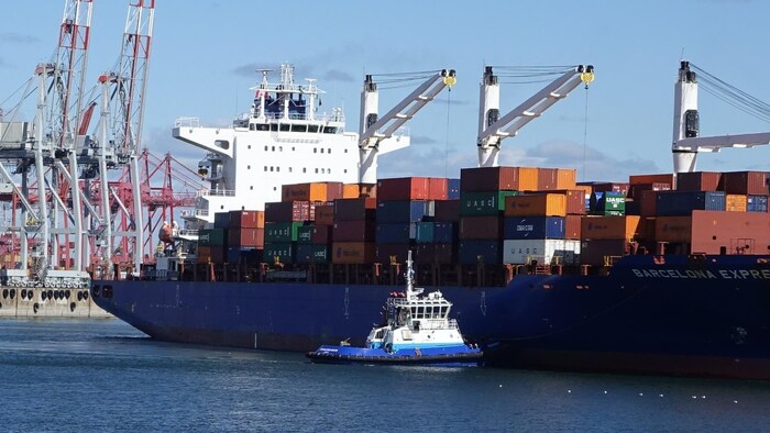 Terminal de conteneurs : QSL et le Port étaient prêts à lancer les ...