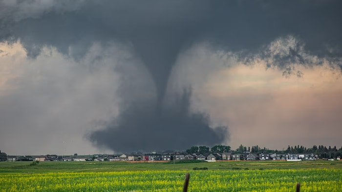 Une tornade détruit des maisons et emporte des animaux dans le centre de l’Alberta | Radio-Canada