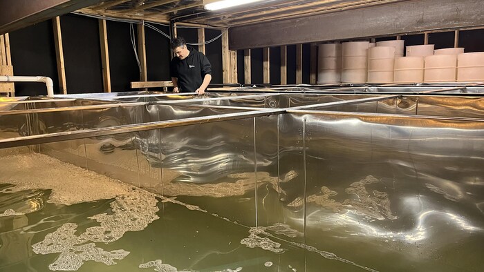 Terres publiques : les acériculteurs pressent Québec de dévoiler son ...