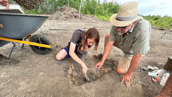 Découverte d’un fossile rare au Manitoba : un prédateur marin de 80 ...