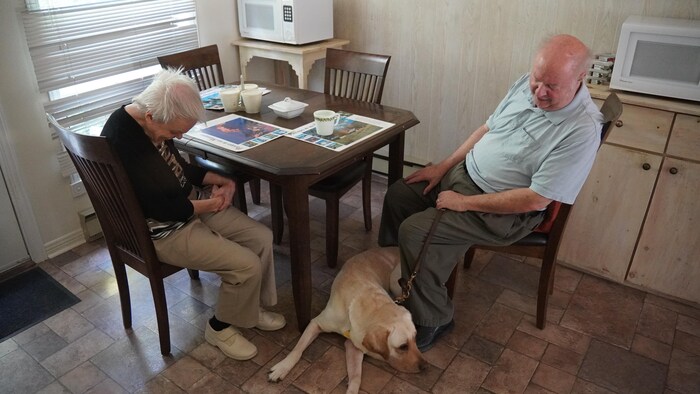 Les personnes aveugles pourront bientôt voter de manière autonome au ...