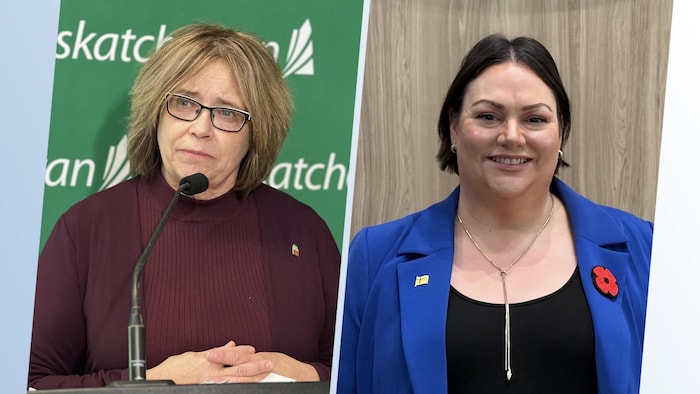 Affaires francophones : tension en comité parlementaire | Radio-Canada