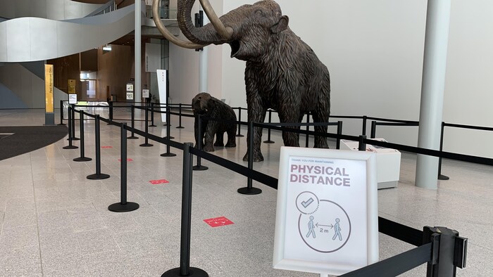 Le Musée royal de l'Alberta rouvre ses portes | Radio-Canada