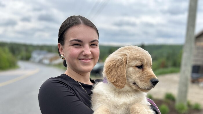 Une autre collision à l’intersection de la rue Gauthier à Larouche fait ...