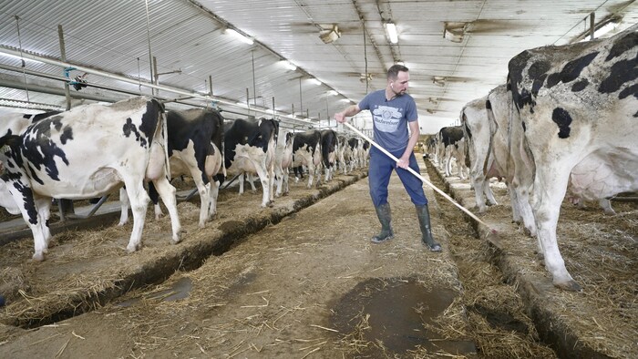 Fromagerie Thornloe : de l’espoir pour la réouverture | Radio-Canada