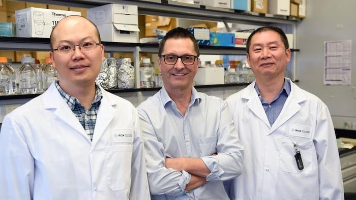 Rendre le cancer vulnérable au système immunitaire | Radio-Canada