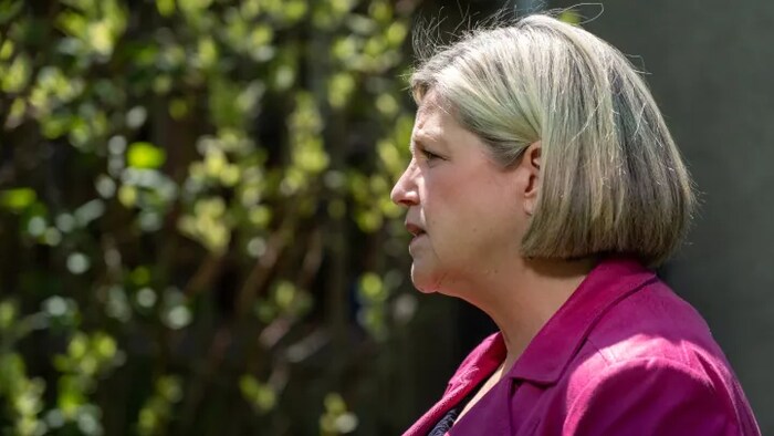 Peter Tabuns nommé chef intérimaire du NPD de l’Ontario | Radio-Canada