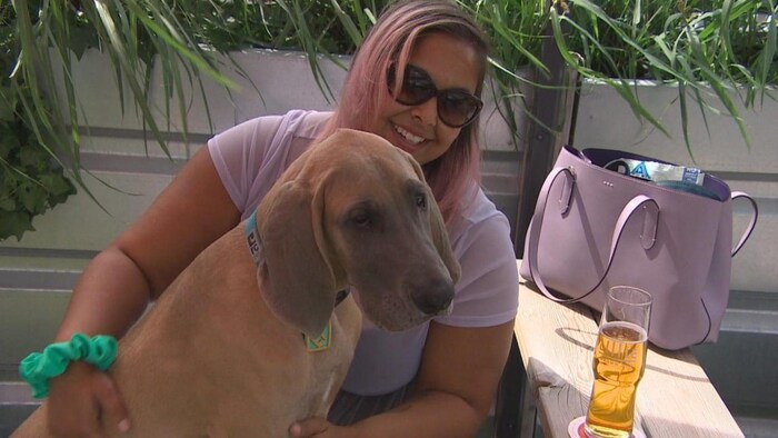 Des restaurants de Winnipeg ouvrent leurs terrasses aux chiens | Radio ...