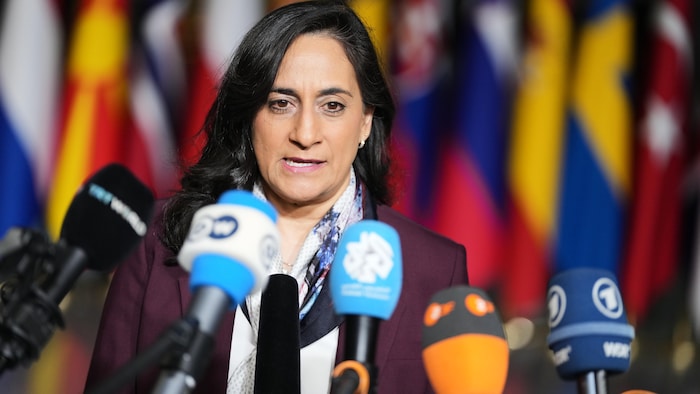 Ottawa annonce de nouvelles mesures d’une valeur de 235 millions $ pour ...