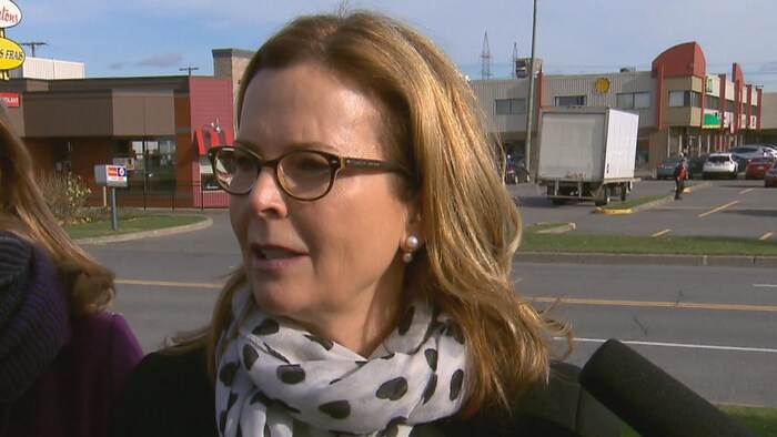 Démocratie Québec propose un sommet sur la main-d’oeuvre | Radio-Canada