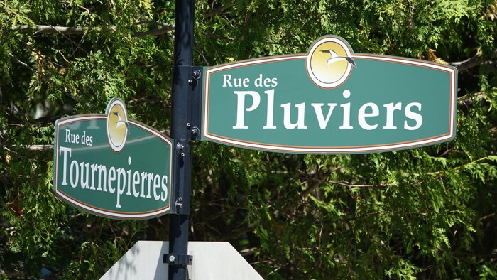 Menacée par l’érosion, une rue de Maria sous la loupe de la Sécurité ...