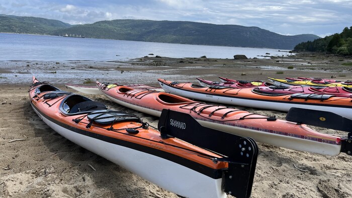 Une saison touristique qui bat de l’aile dans le Bas-Saguenay : un cri ...
