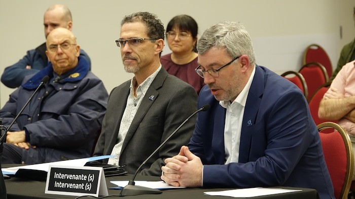 BAPE du projet éolien de Grosse-Île : les citoyens ont parlé | Radio-Canada