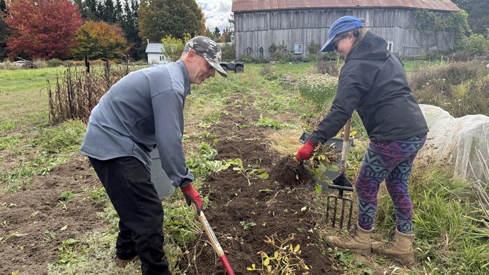 Bientôt du beurre de « pinottes » à base d’arachides québécoises ...