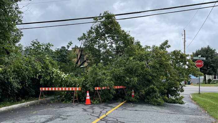 Réparation de routes dans des municipalités de Portneuf après le ...