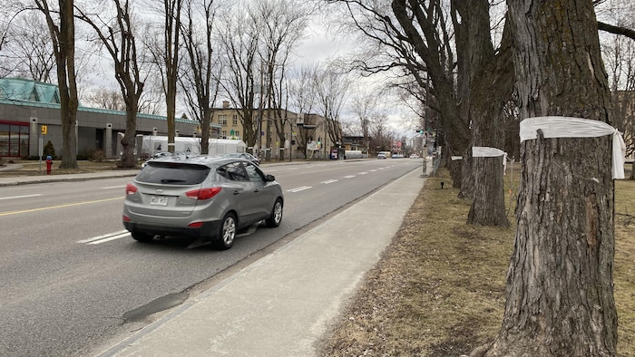 Des travaux lourds sur René-Lévesque entre l’université et Holland en ...