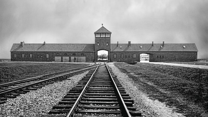 « Je suis allé dans les camps » : l’histoire d’Auschwitz racontée au ...