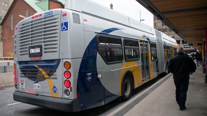 La Ville de Hamilton demeure muette alors que la panne informatique ...