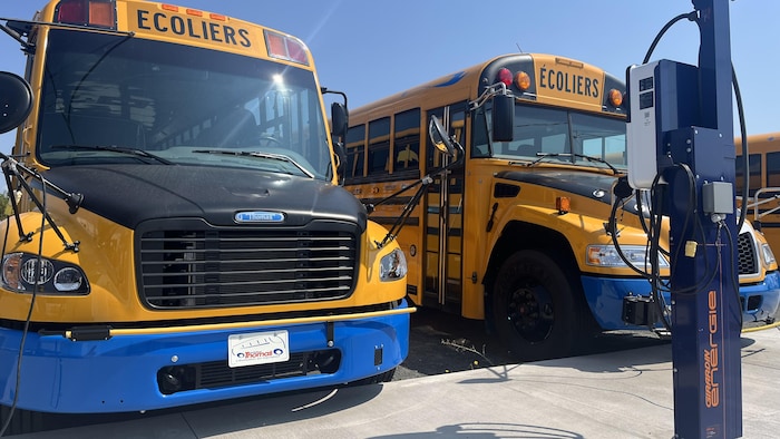 Un meilleur accès au transport scolaire passe par le public, dit l’IRIS ...