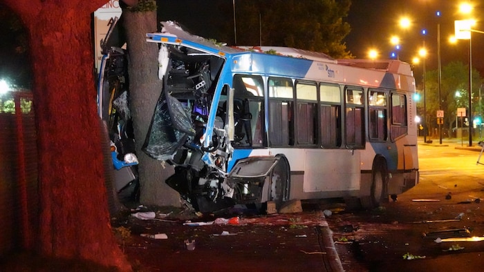 Un autobus de la STM percute un arbre dans l'est de Montréal | Radio-Canada