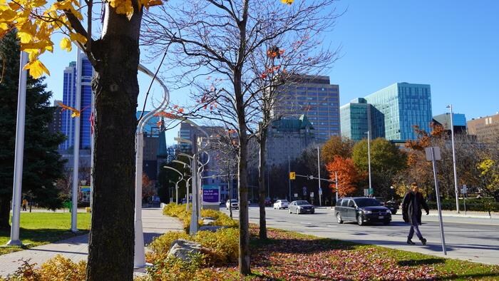 COVID-19 : 55 nouveaux cas à Ottawa | Radio-Canada