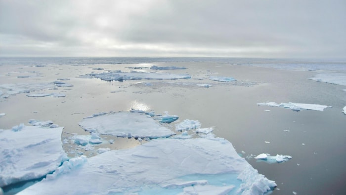 Le pic de la banquise arctique au plus bas jamais mesuré par les ...