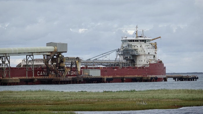 Un « bateau du futur » transportera bientôt le sel de Mines Seleine ...