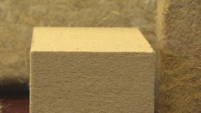 Des matériaux de construction à base de chanvre bientôt produits à ...