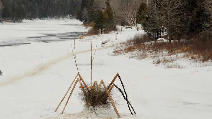 Les « bibittes » se multiplient sur les rivières gaspésiennes | Radio ...