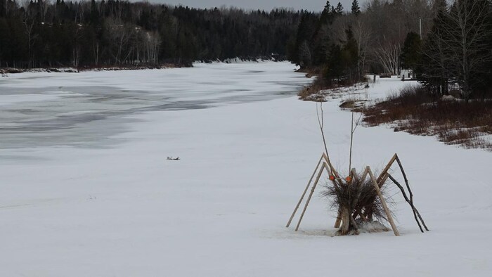 La bibitte de la rivière Bonaventure est utile pour contrer l’érosion ...