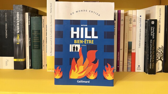 Quelques livres que vous avez peut-être manqués en 2024 | Radio-Canada