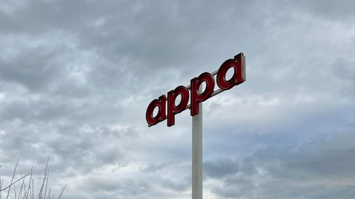 Comment se prépare-t-on au Bocuse d’Or? | Radio-Canada