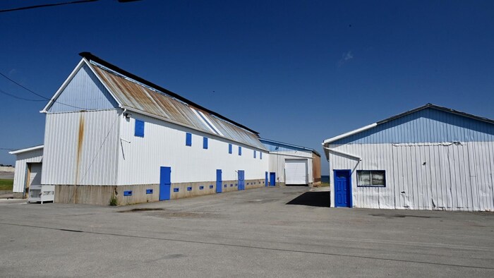 Une surveillance accrue promise à la suite des feux de boucanières à ...