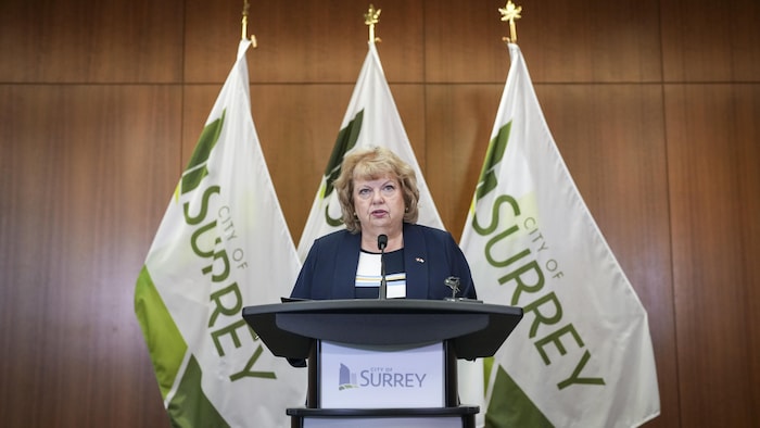 À Surrey, 250 000 $ destinés à ceux qui révèlent des informations sur ...