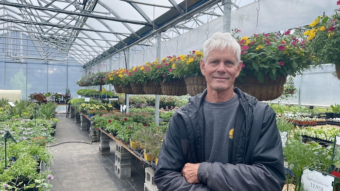 Épidémie de chenilles sur des arbres au Saguenay-Lac-Saint-Jean | Radio ...
