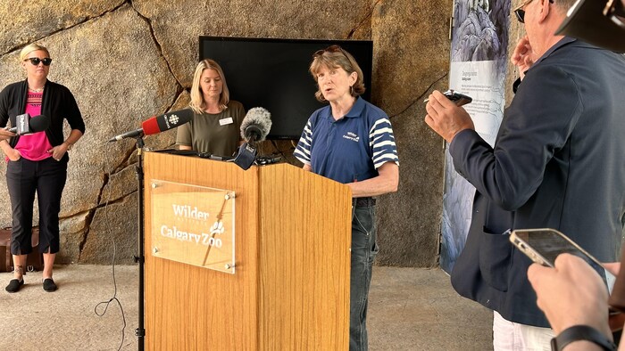 Une nécropsie révèle que la mort de l’ours polaire Baffin est ...
