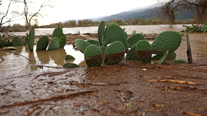 Pollution : des enfants californiens poursuivent le gouvernement ...