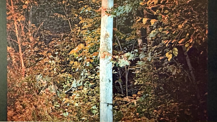 À 180 km/h dans une zone de 50, il blesse ses amis en voulant les ...