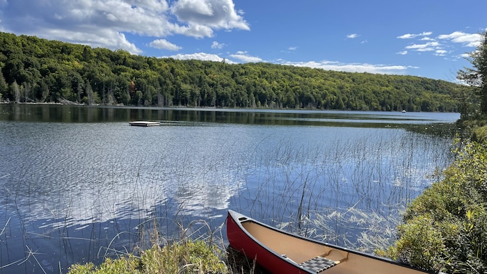 À la découverte de la nature et de soi | Radio-Canada