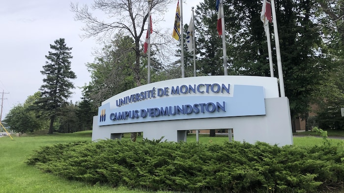 Le CCNB a détecté 300 tentatives de fraudes pour des demandes d’admission en trois ans | Radio ...