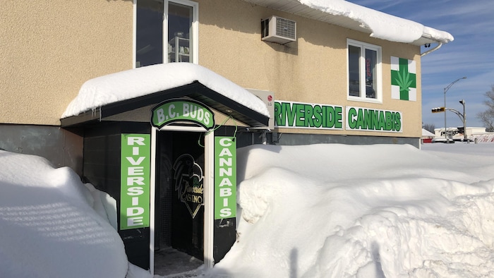 Vente de cannabis : perquisitions à Listuguj | Radio-Canada