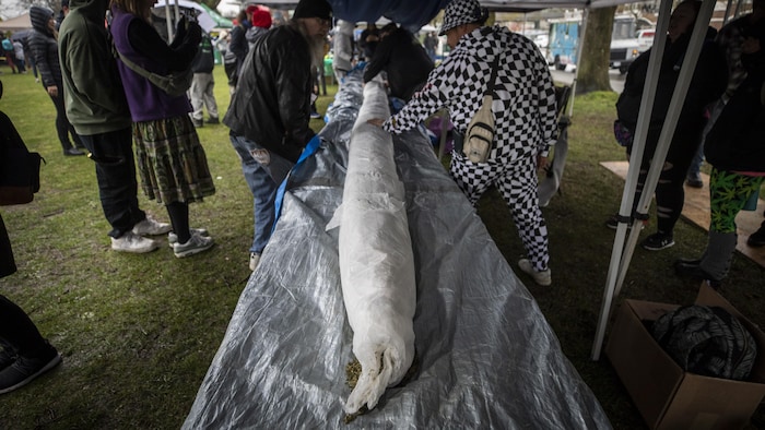En images | Ils se roulent un joint de 28 kilos | Radio-Canada