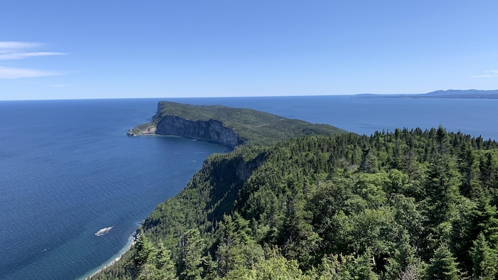 4,3 M$ pour la biodiversité du parc national Forillon | Radio-Canada